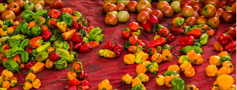 Water for Food Production - RECIRCULATE